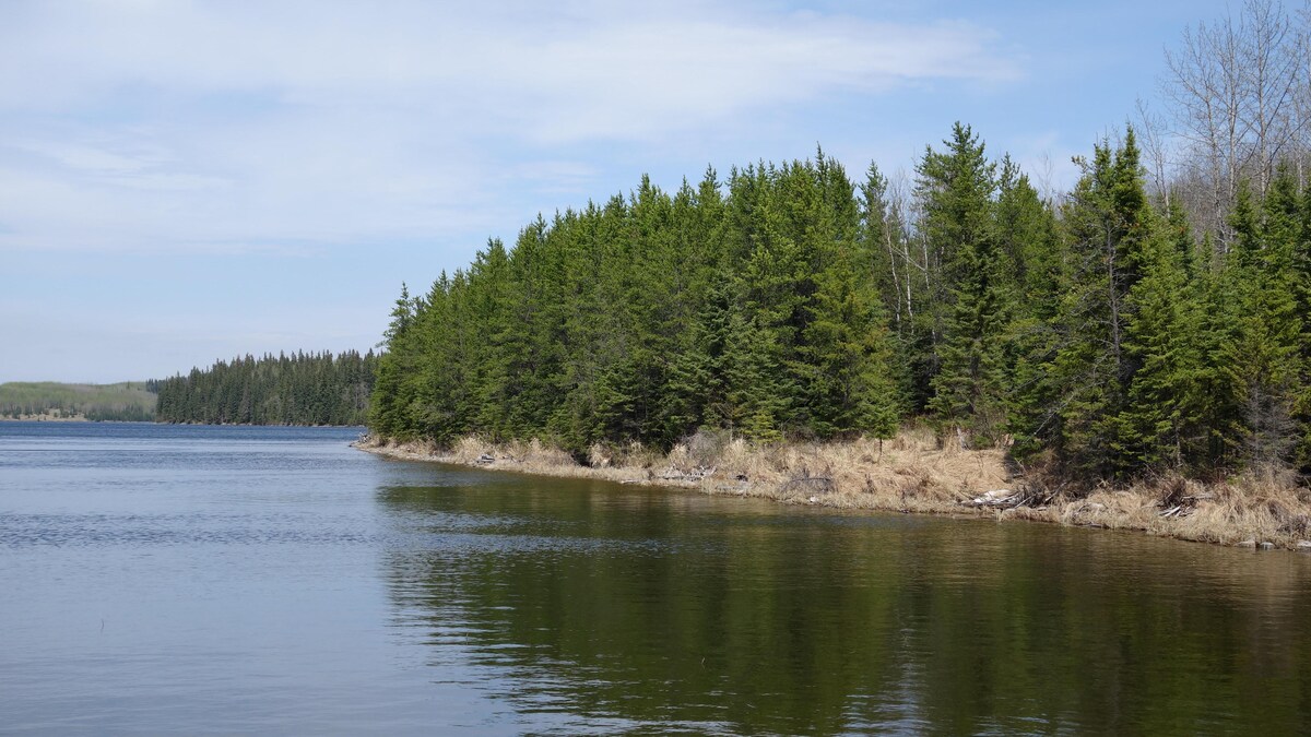 Ressources naturelles | Radio-Canada.ca