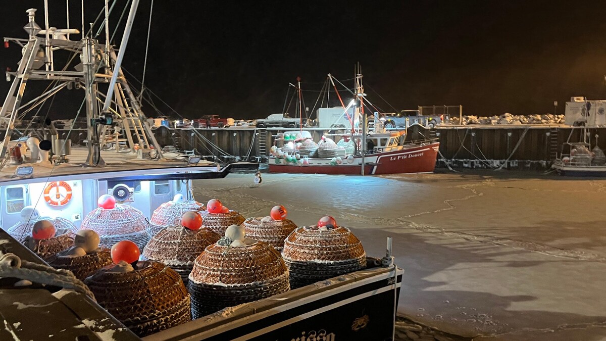 La météo retarde le début de la pêche au crabe | Le téléjournal Est-du ...