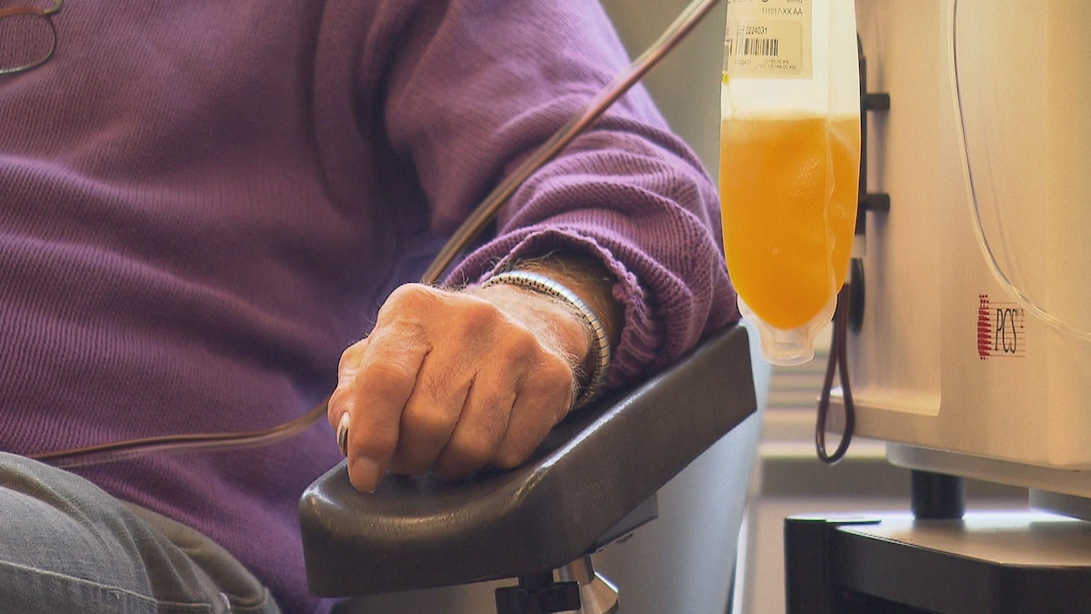 Comment faire des dons de plasma sécuritaires ? | Le téléjournal Manitoba