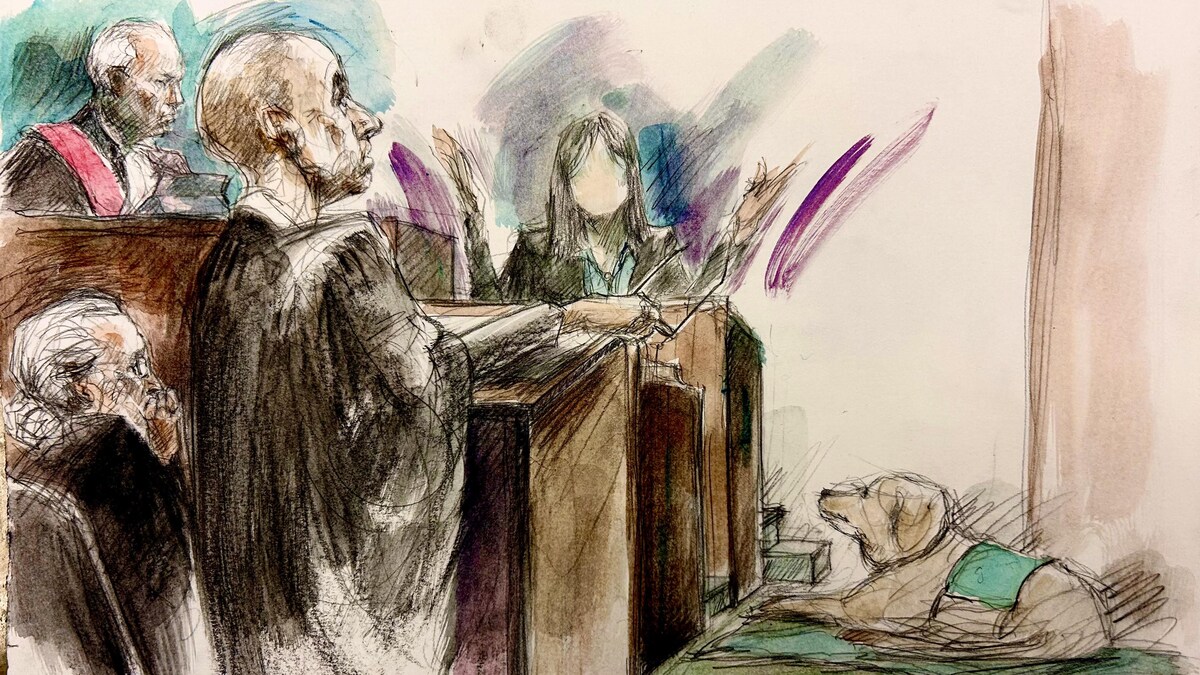 En continu | Justice et faits divers | Radio-Canada | Page 307