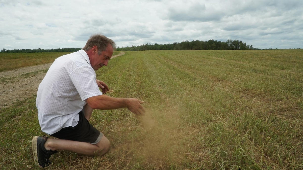 Le temps sec donne des maux de tête aux agriculteurs | Le téléjournal ...