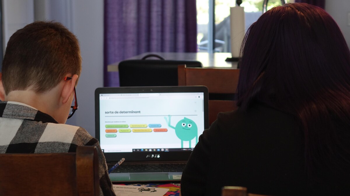 L'école à distance | Le téléjournal Québec