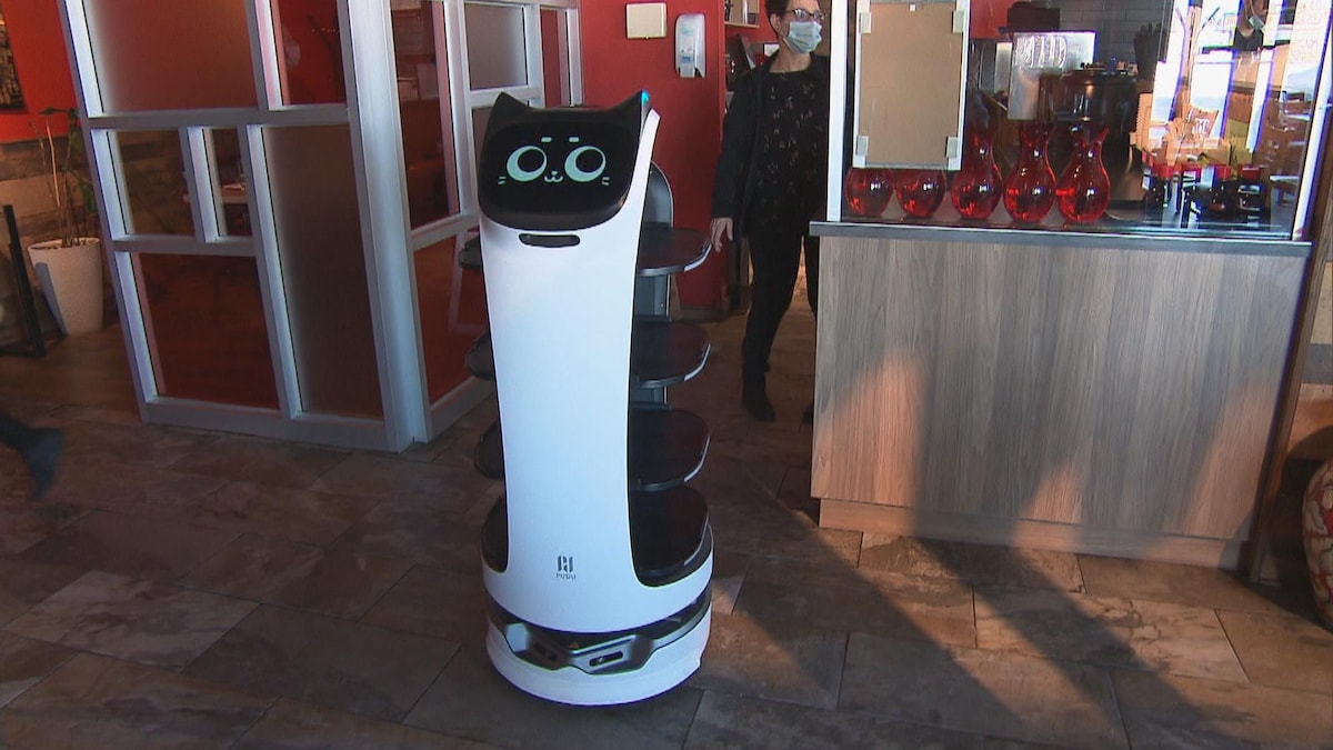 Un robot se joint à l’équipe d’Aki Sushi | Le téléjournal Saguenay-Lac ...
