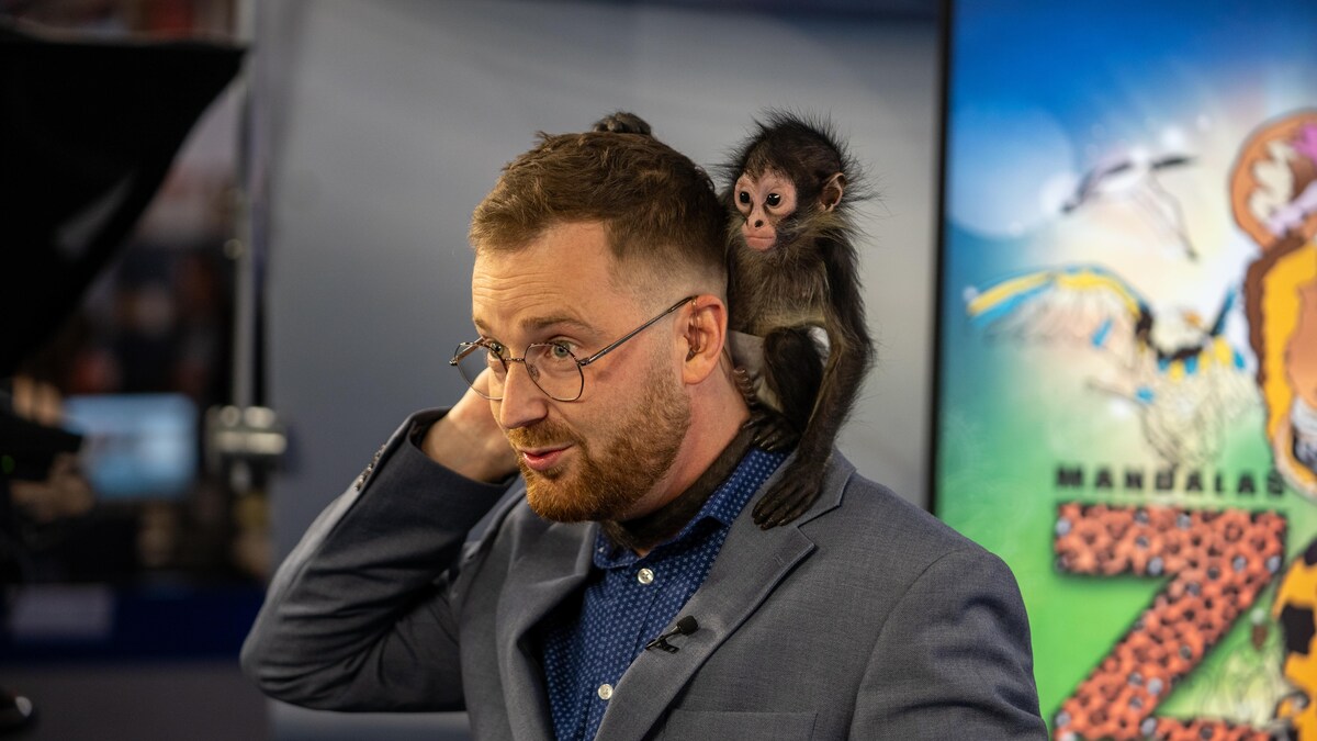 Un petit singe nommé Roméo en visite dans nos studios | Le téléjournal ...