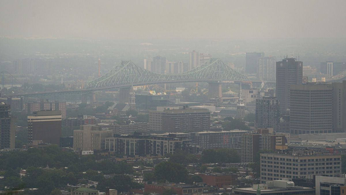 Smog et feux de forêt | Le téléjournal avec Patrice Roy