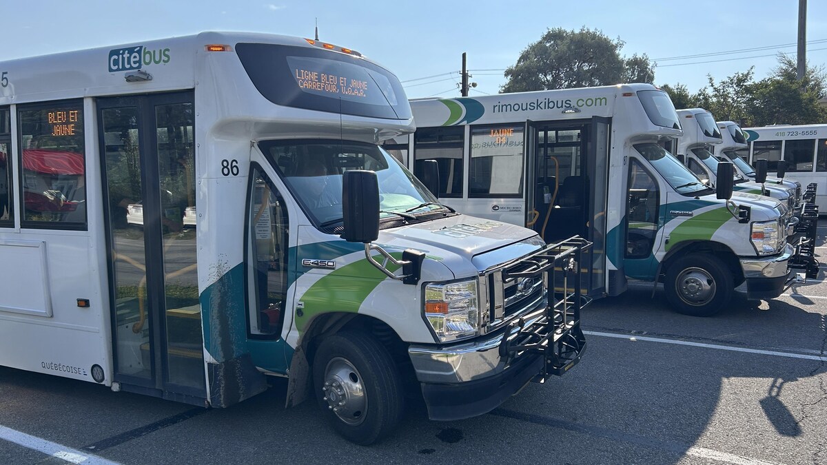 Un achalandage jamais vu dans les Citébus de Rimouski | Le téléjournal ...