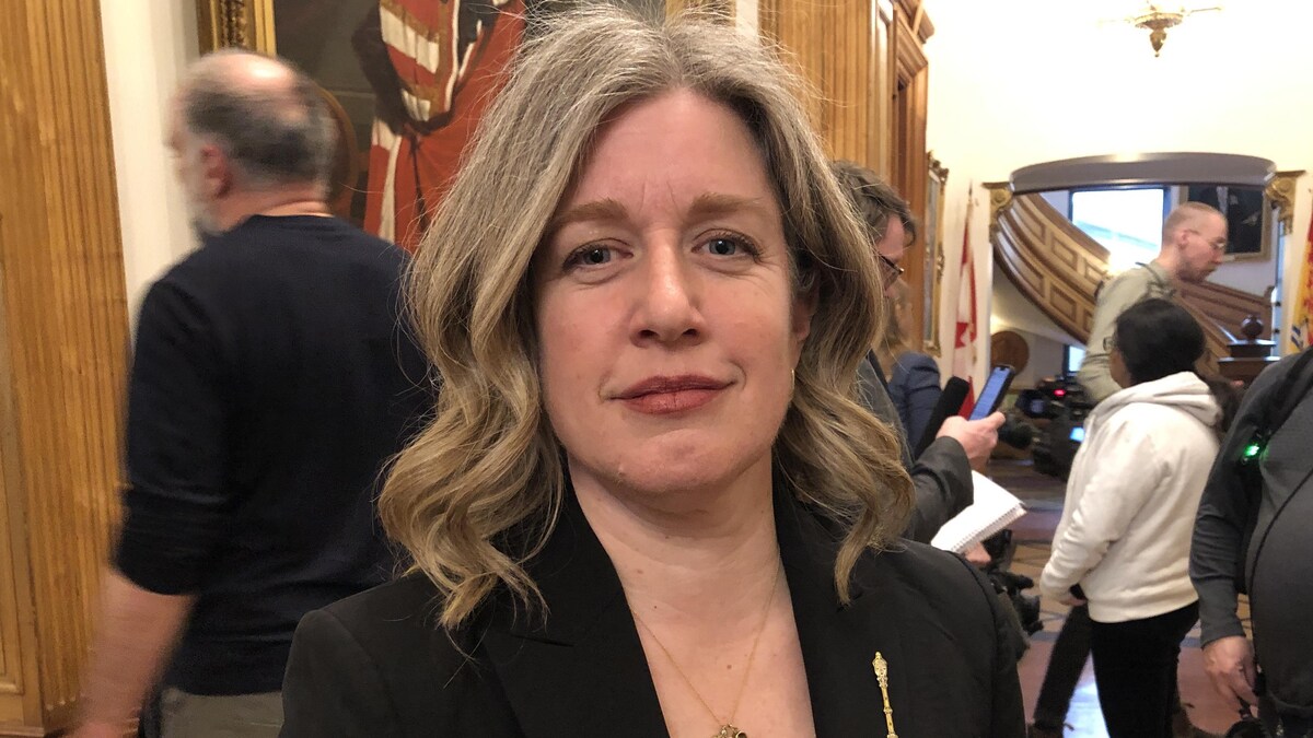 Les conservateurs demandent à Susan Holt de s’opposer à la tarification ...
