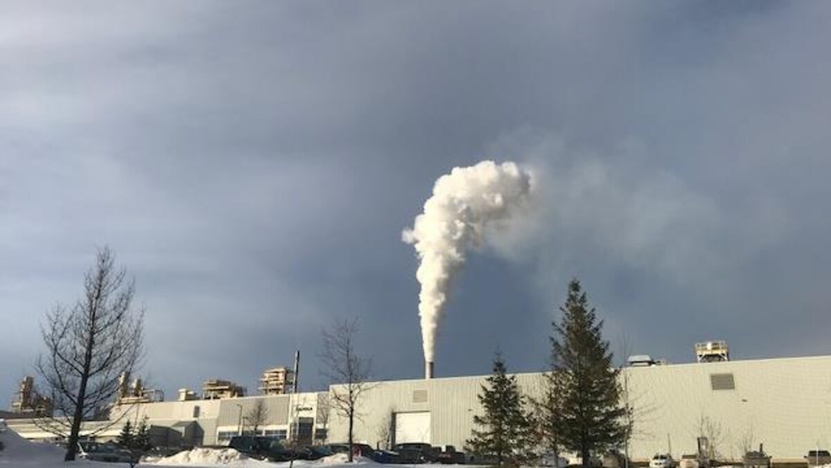 En continu | Environnement | Radio-Canada | Page 145