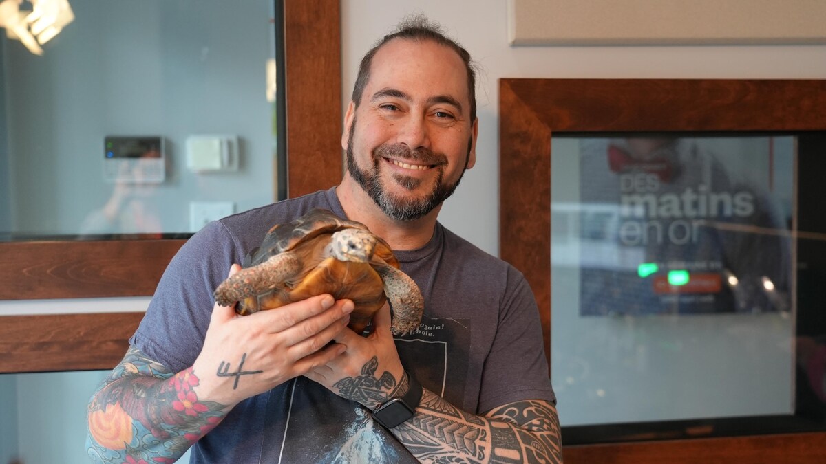 En continu | Abitibi-Témiscamingue | Radio-Canada | Page 3