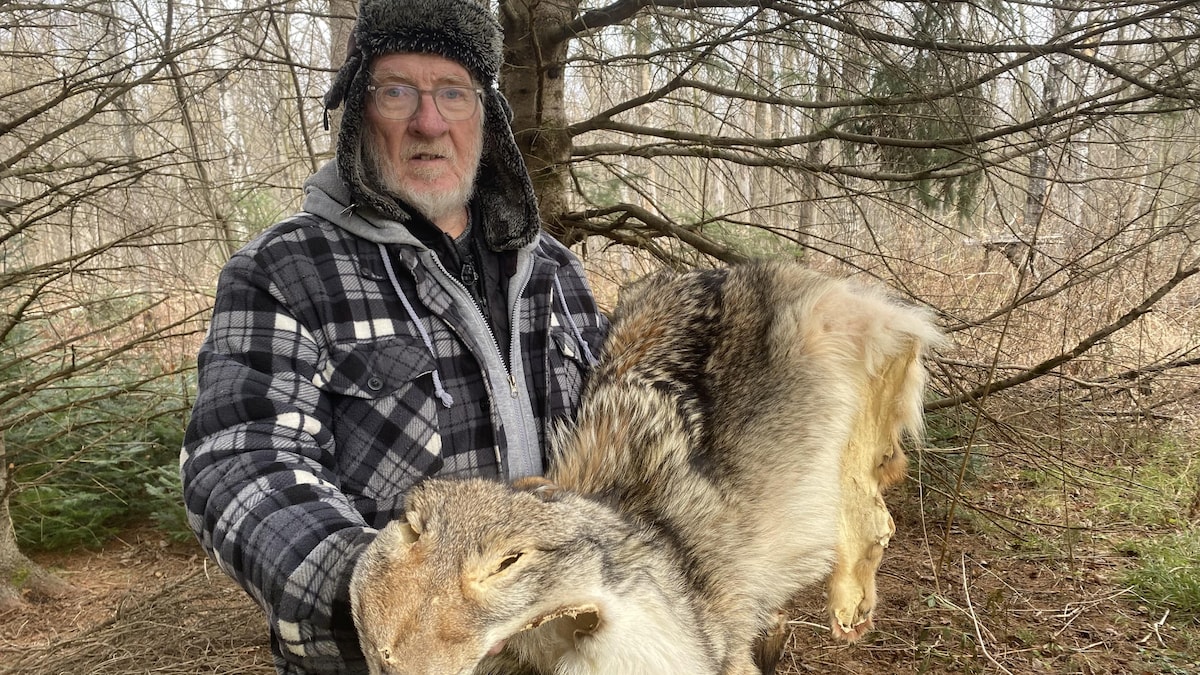 Trappeur, un métier de moins en moins pratiqué | Le téléjournal Mauricie