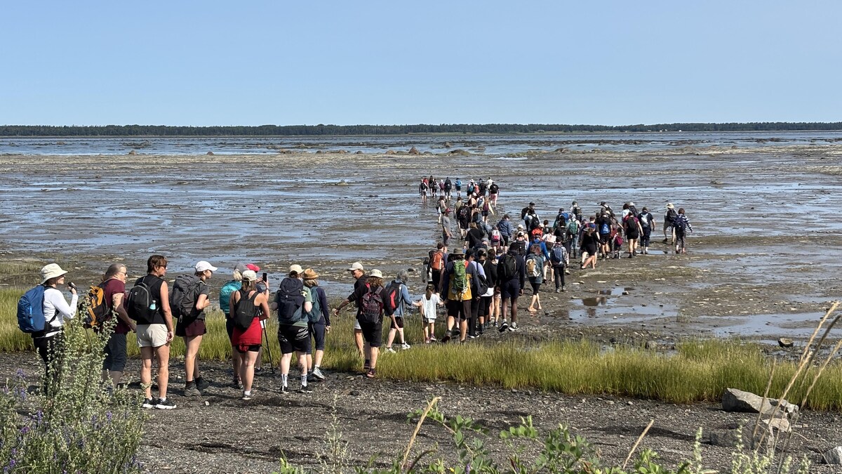 Visiter l'île Saint-Barnabé à marée basse | Le téléjournal Est-du-Québec