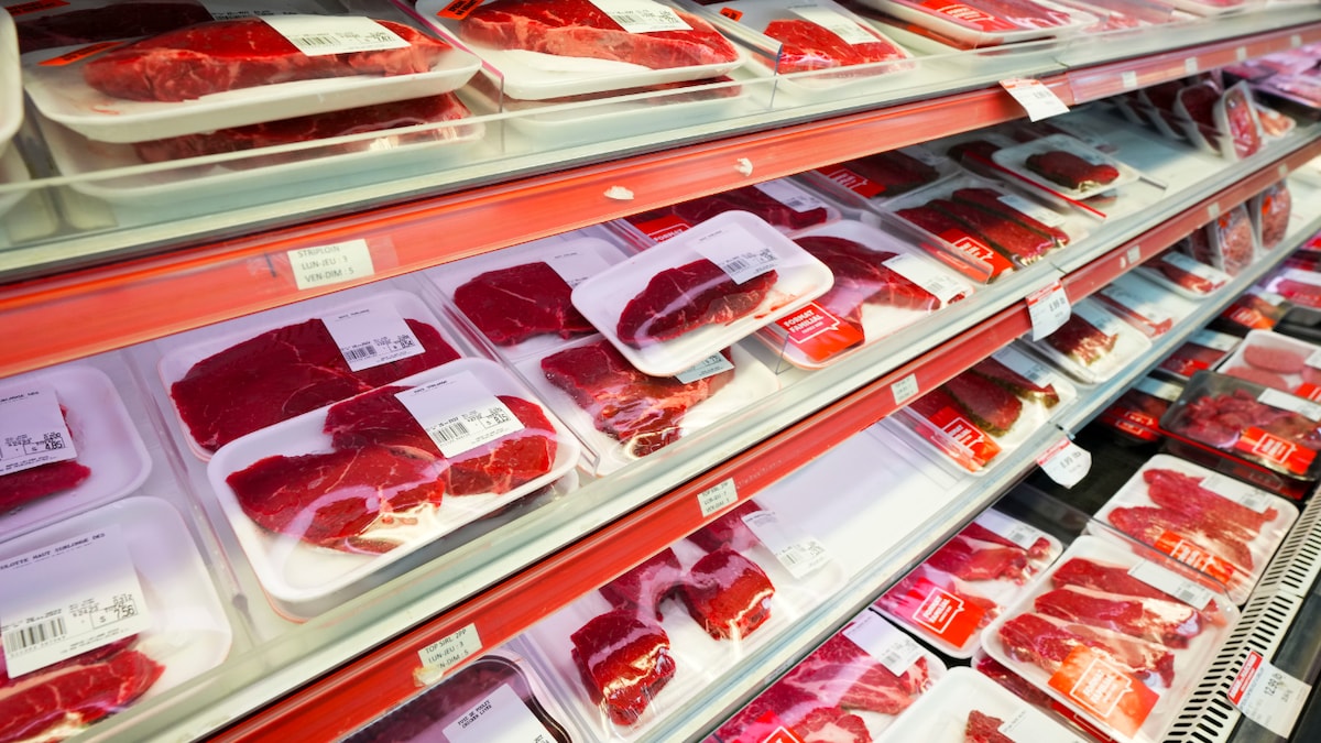 Elisa P. Serret | Profil | Radio-Canada