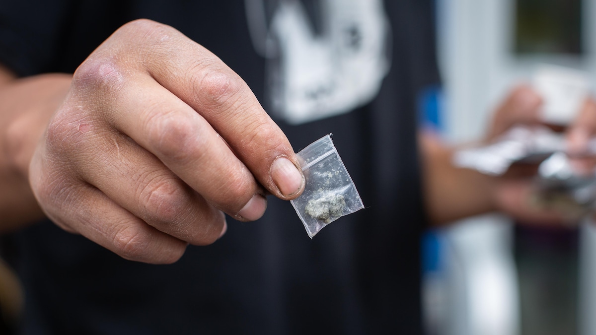 L'IA pour retracer le trafic de drogues | Le téléjournal Colombie ...