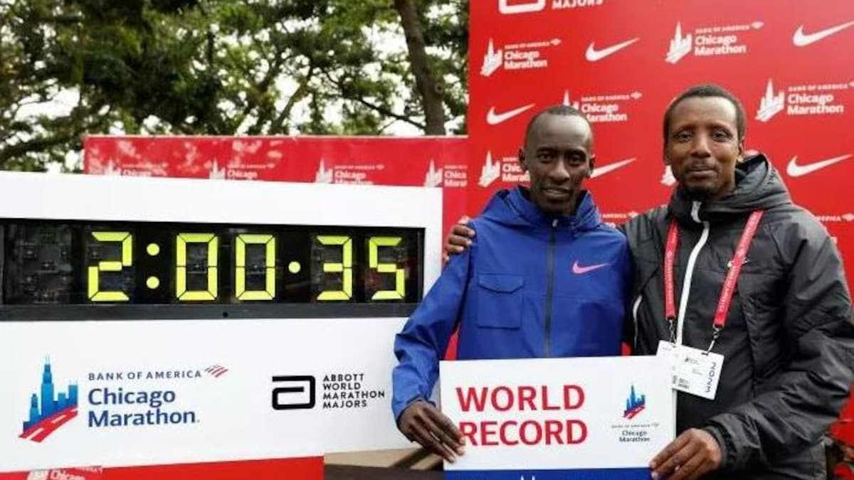 Engouement pour la 3e chasse scientifique au phoque gris sur l’île ...