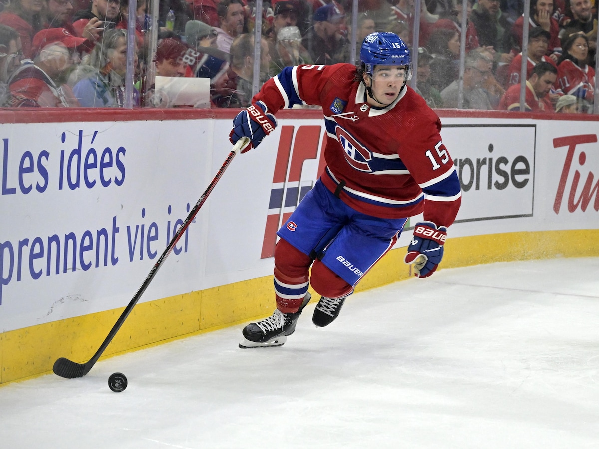 Hockey : l’école élémentaire Vanier de Saint-Jean célèbre le parcours d ...