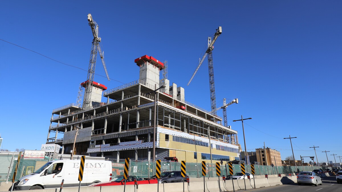 David Rémillard | Profil | Radio-Canada