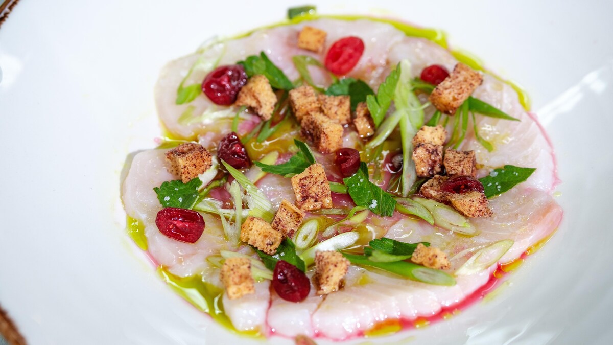 Le flétan de l’Atlantique, un trésor des fonds marins du Québec | Mordu