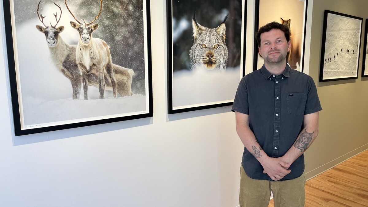 Photographier la vie sauvage | Le téléjournal Est-du-Québec