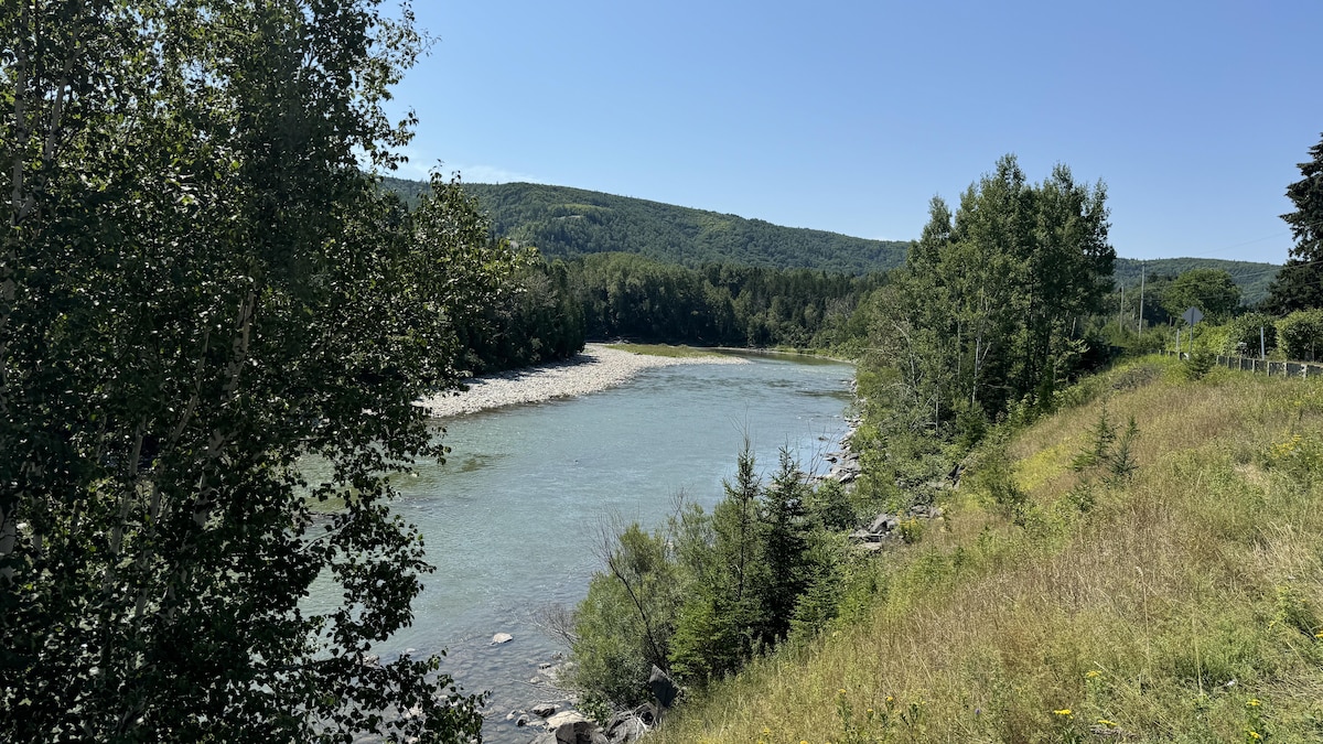 Un déclin de 75% des saumons dans la rivière Matane | Le téléjournal ...