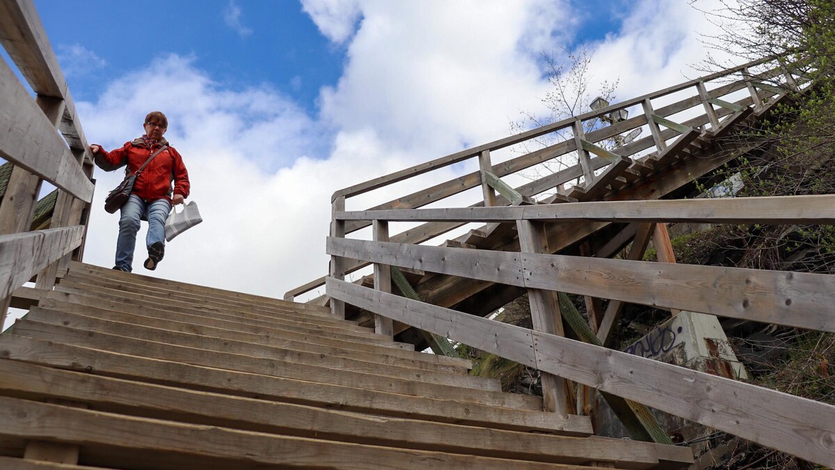 David Rémillard | Profil | Radio-Canada