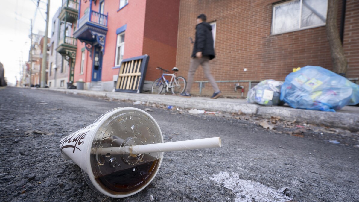 Charles Séguin | Profil | Radio-Canada