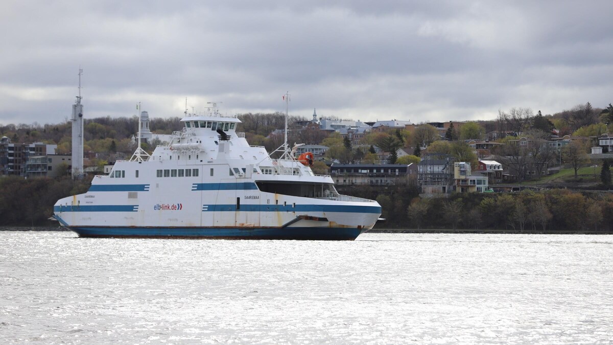 En continu | Bas-Saint-Laurent | Radio-Canada | Page 319