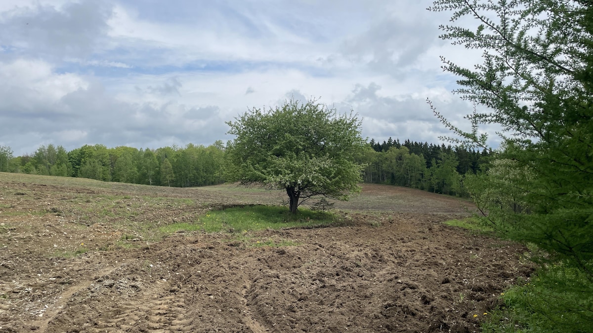 Développer l’agriculture grâce aux terres abandonnées | Le téléjournal ...