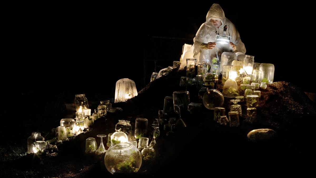 Arts | Alberta | Radio-Canada