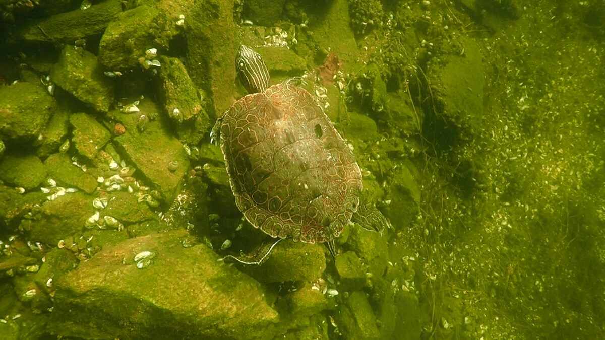 Nouvelle série de 8 documentaires sur la nature et la science | Le ...
