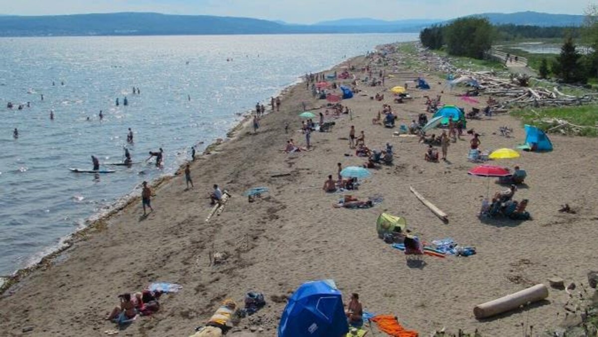 Gaspé reçoit plus de touristes cet été qu’en 2023 | Le téléjournal Est ...