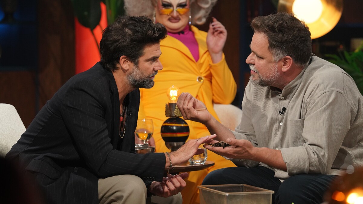 Stéphane Bellavance parle de santé planétaire | Bonsoir bonsoir!