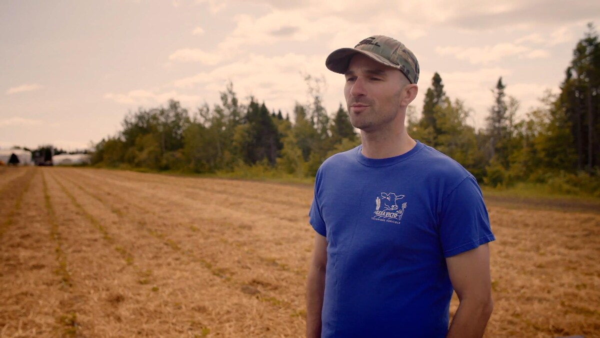 En continu | Abitibi-Témiscamingue | Radio-Canada | Page 436