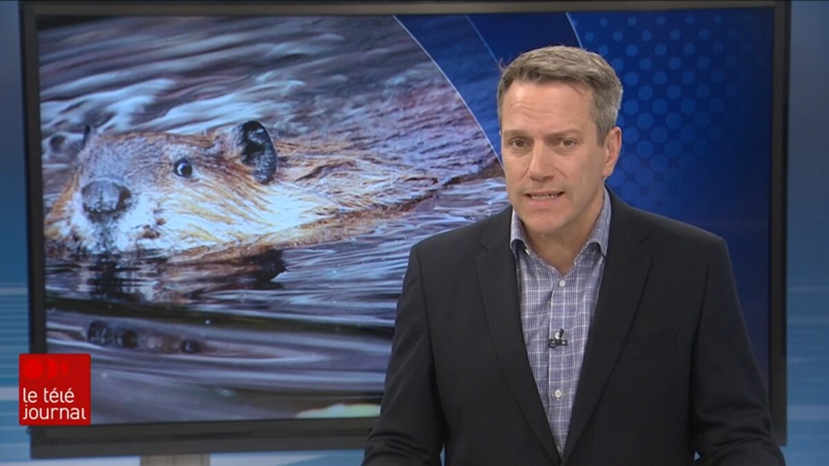 Le Téléjournal Acadie | Le téléjournal Acadie