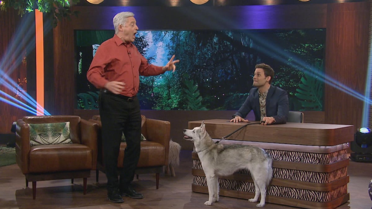 Charles Tisseyre imite la poule à la perfection | Les poilus