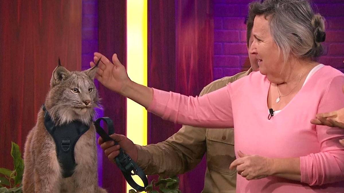 Marthe Laverdière rencontre un lynx du Canada | Les poilus