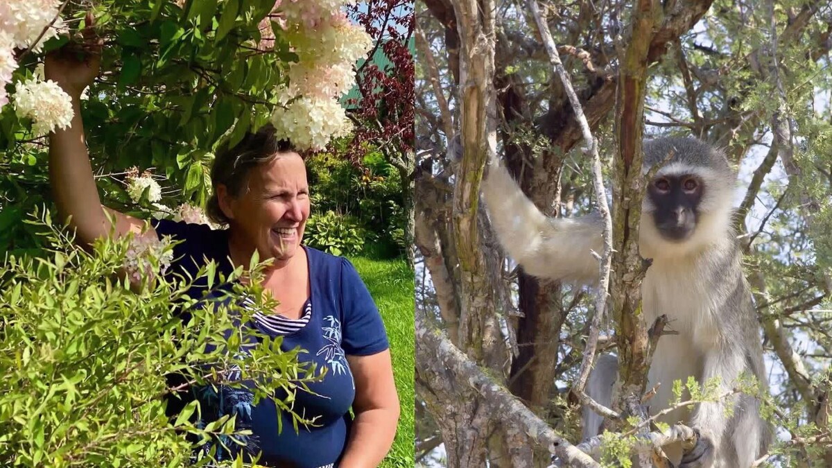 Quel est l’animal qui ressemble le plus à Marthe Laverdière? | Les poilus