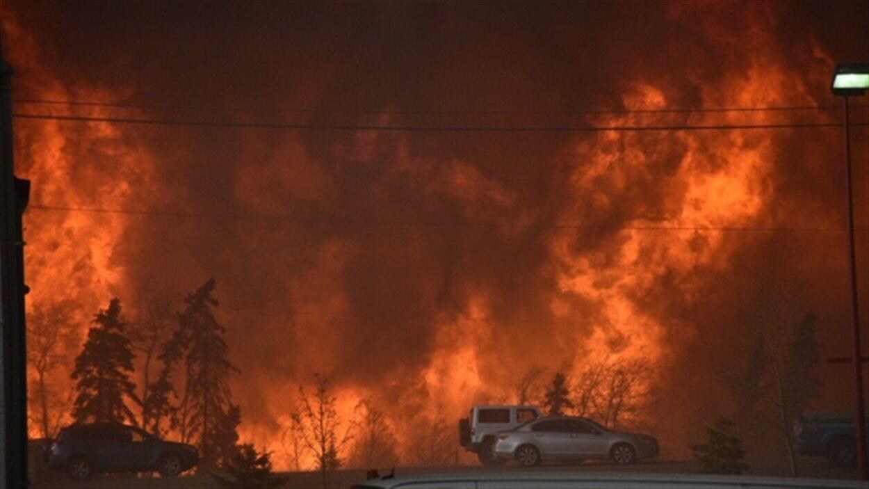Les feux de forêt extrêmes ont doublé depuis 20 ans