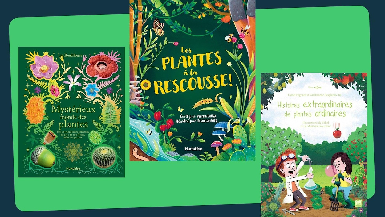 Des livres fascinants sur les plantes pour les 8 ans et plus