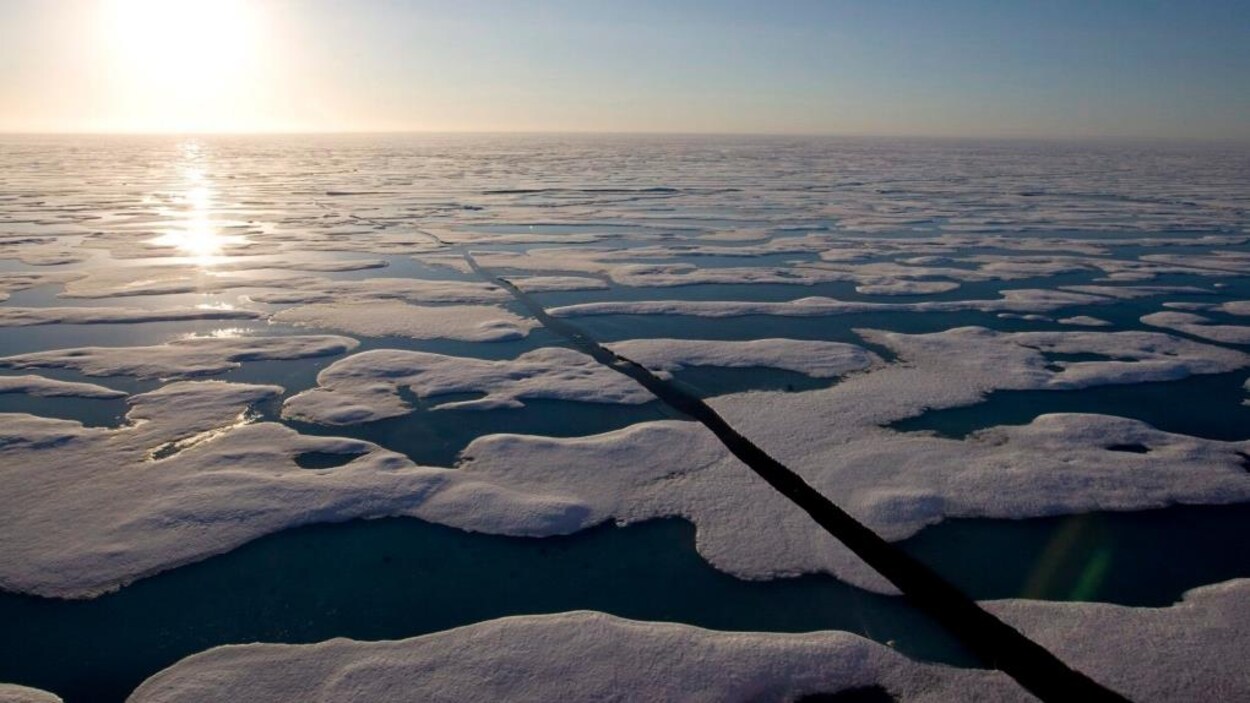 Traité sur la haute mer : le secrétaire général de l’ONU livre un ...