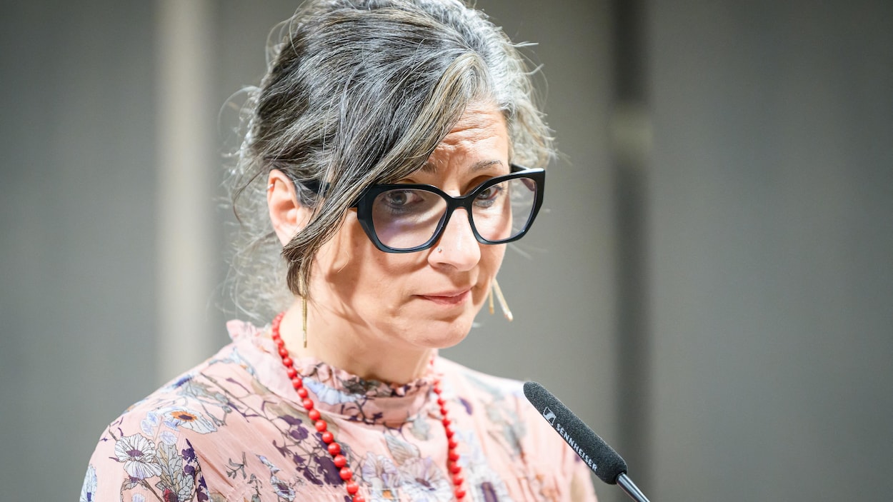 Une rapporteuse de l’ONU prise pour cible par Washington | Brève ...