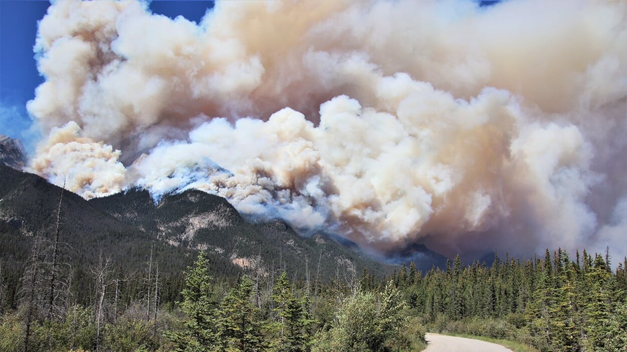 Les pompiers tentent d’éteindre un incendie dans le parc national ...