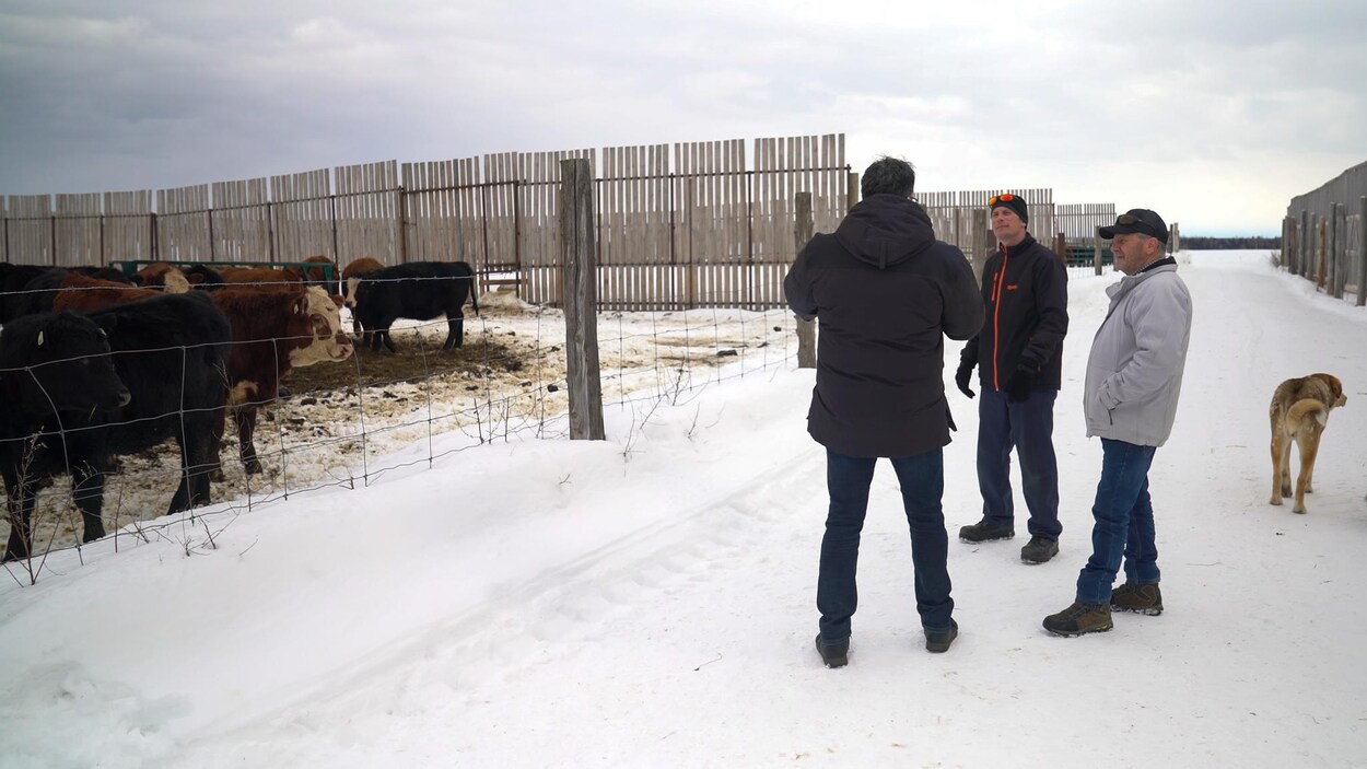 Un projet d’abattoir mobile au Saguenay-Lac-Saint-Jean | Radio-Canada.ca