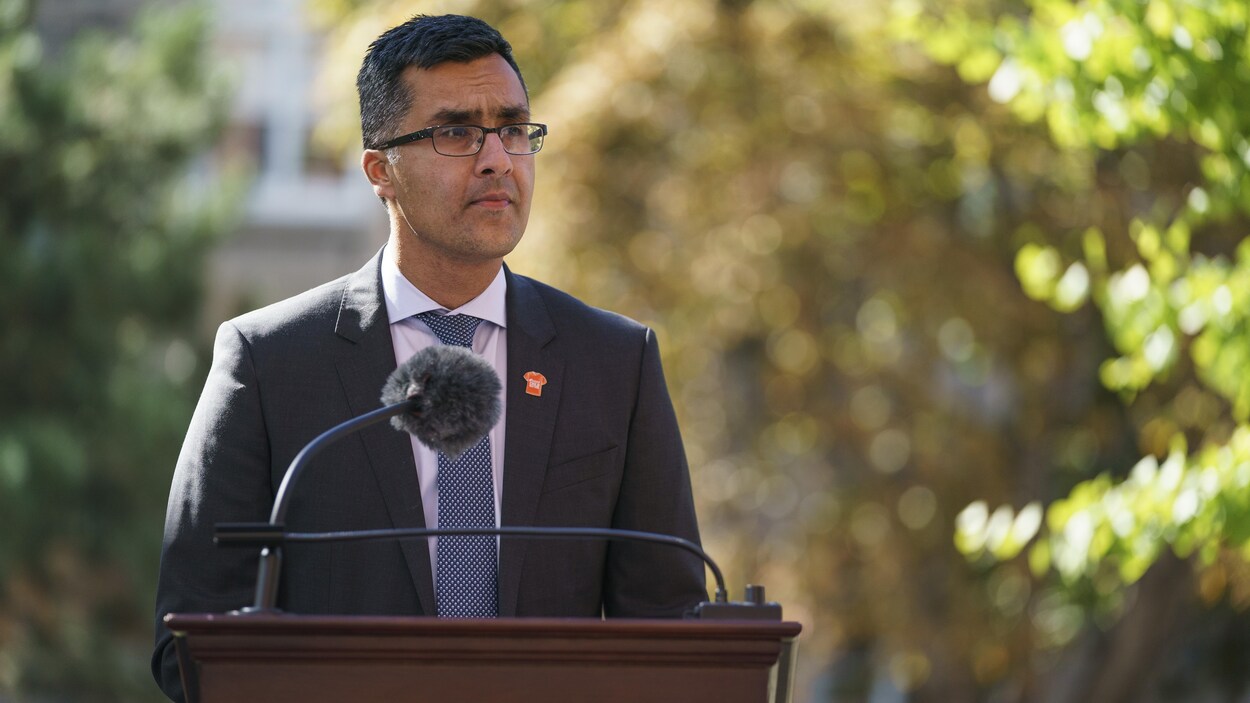 Un autre député libéral ontarien se lance dans la course au leadership ...