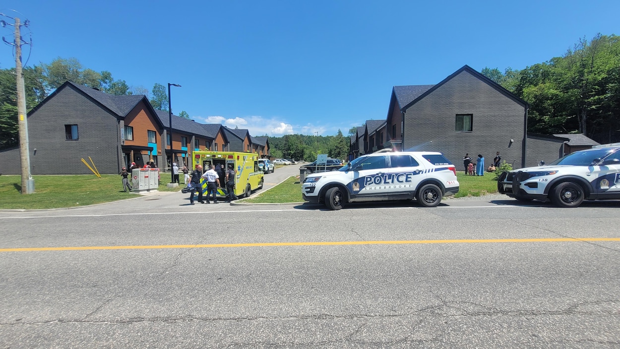 Un homme subit de graves blessures à l’arme blanche lors d’une bagarre ...