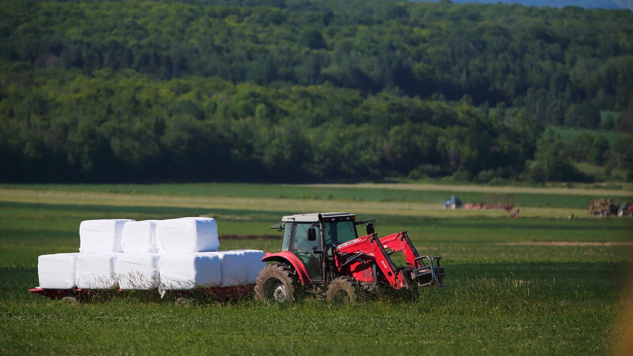 L’agriculture québécoise sera grandement transformée par les ...