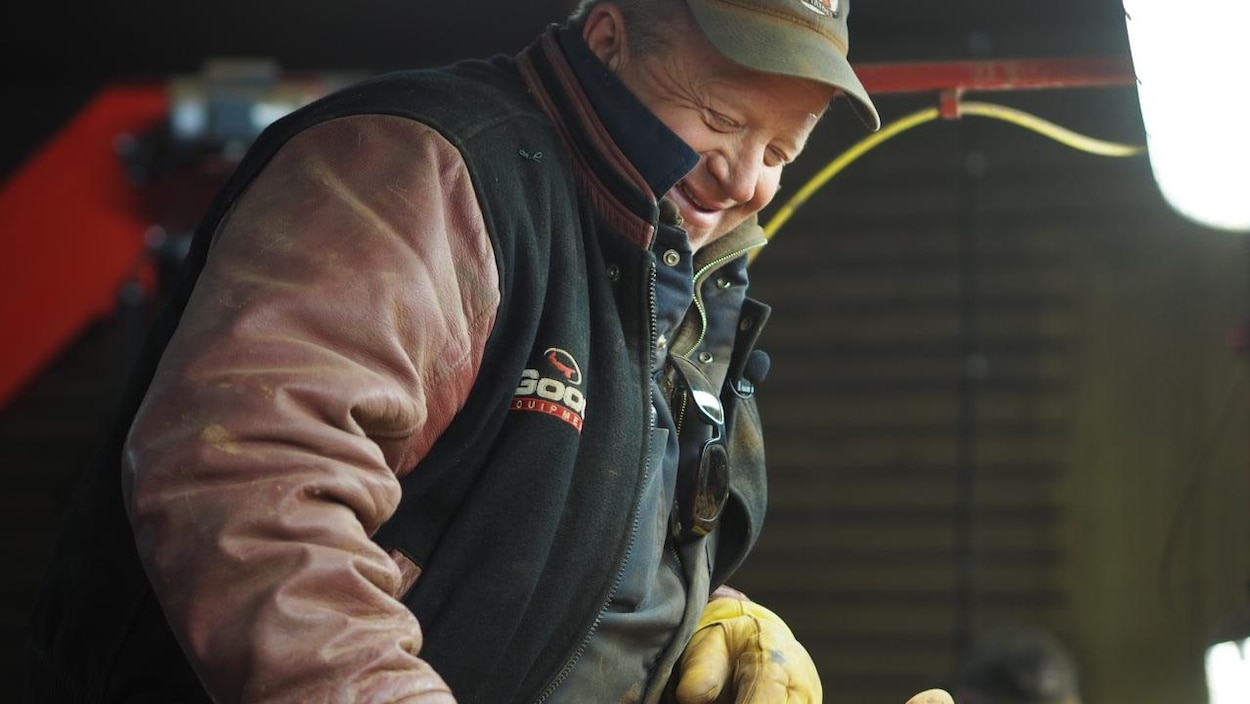 Le Parti vert à l’Î.-P.-É, c’est 50 nuances de vert | Élections Île-du ...