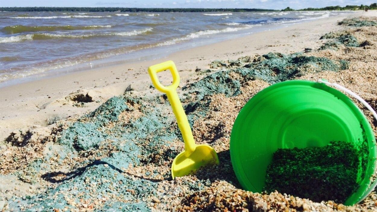 Lac Winnipeg : des quantités de microplastiques comparables à celles du ...