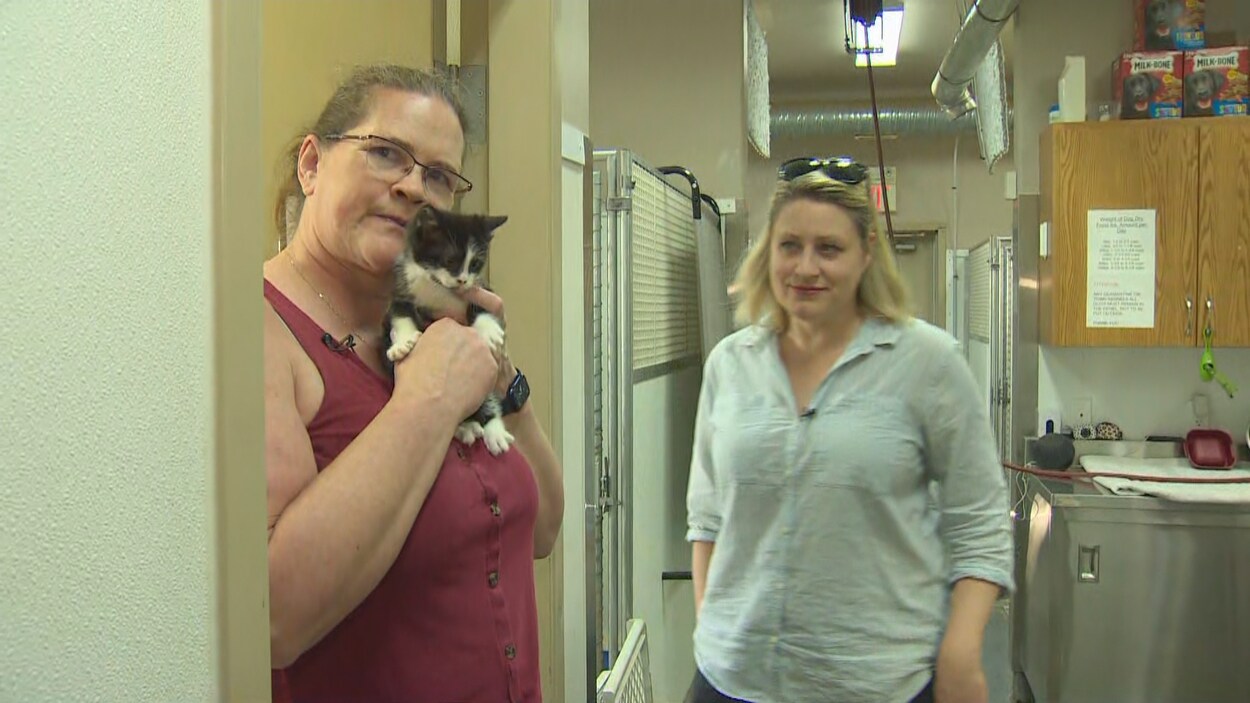 Élan de générosité pour des victimes des feux | Feux en Alberta 2023 ...