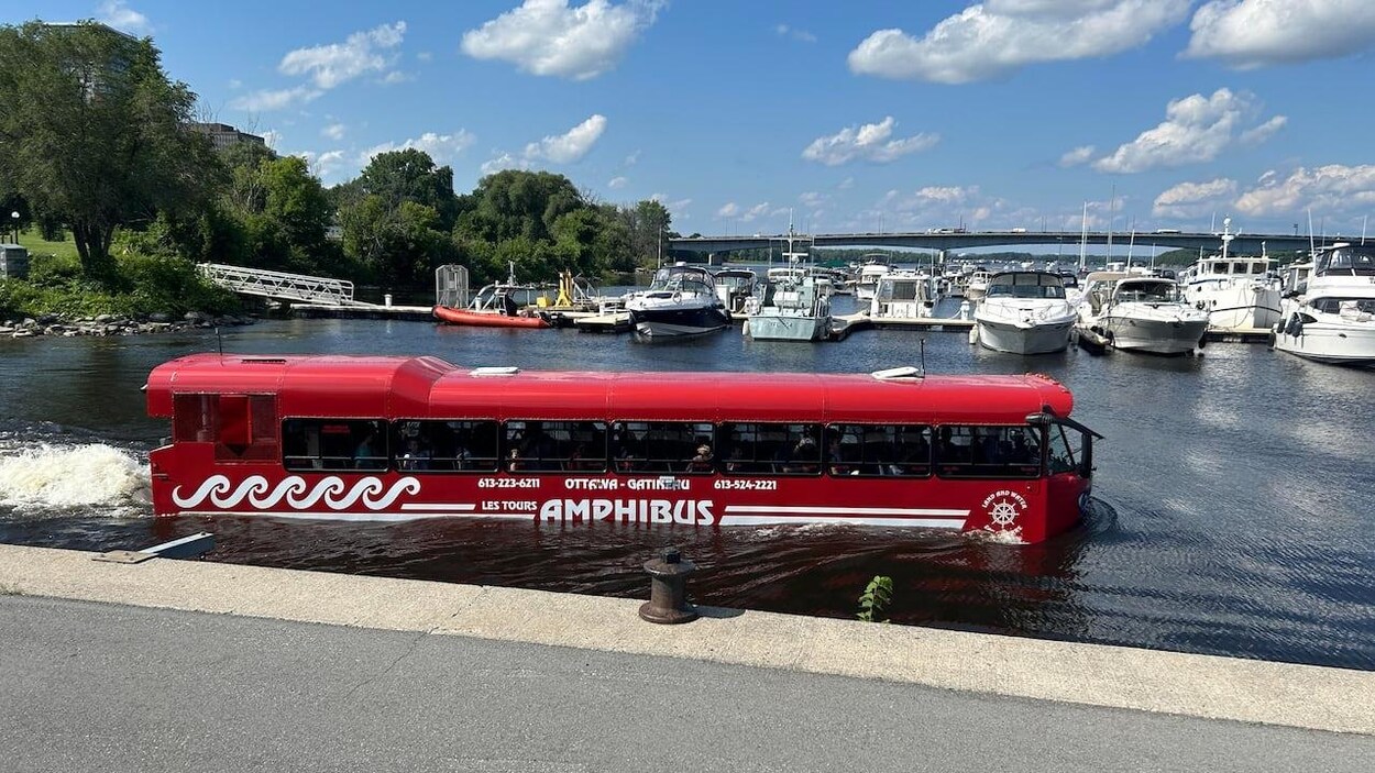 Coincés près d’une heure à bord du « Lady Dive » au milieu de la ...