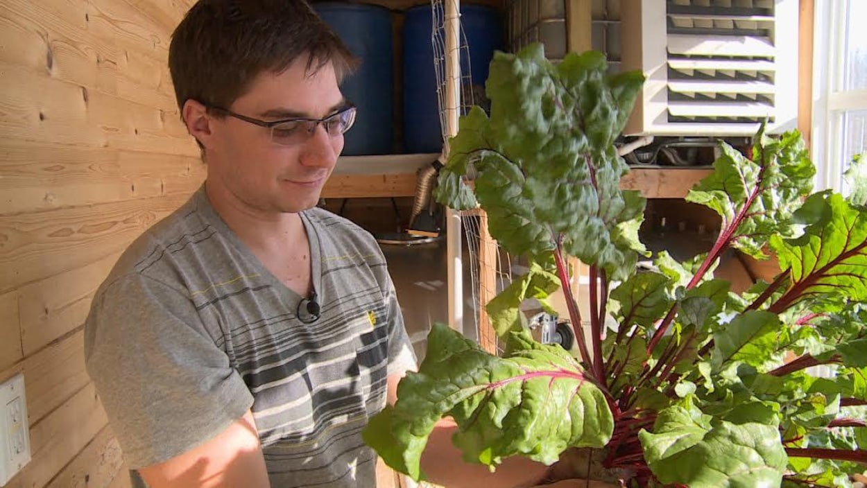 L’aquaponie : cultiver des légumes et élever des poissons chez soi, à ...